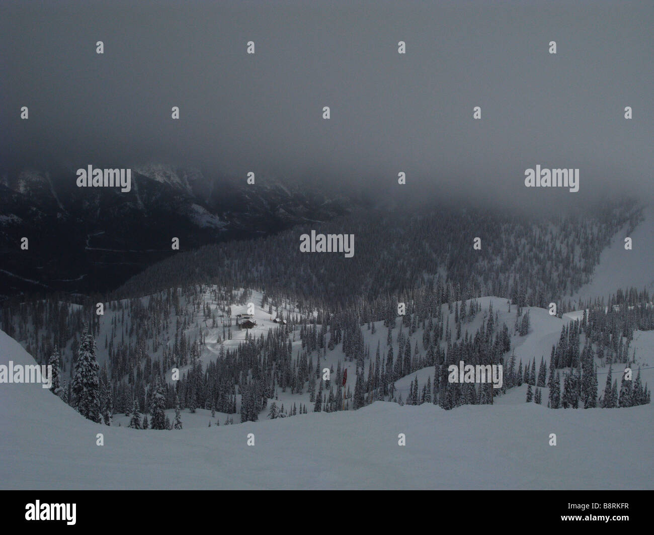 Shot of fresh snow and pines in mountain range in Fernie Canada Stock ...