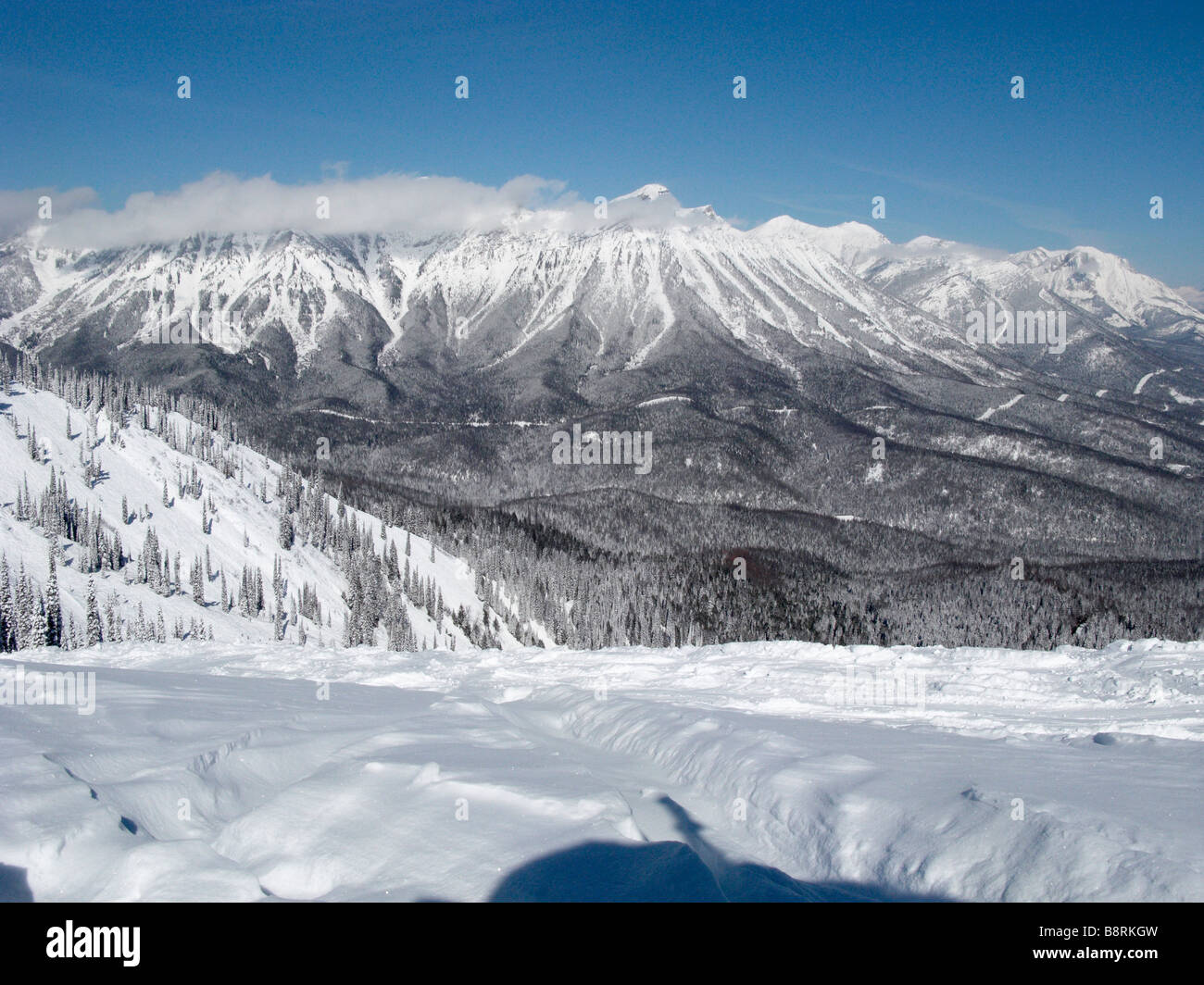 Picture of fresh snow in a north american (canada) ski resort Fernie ...