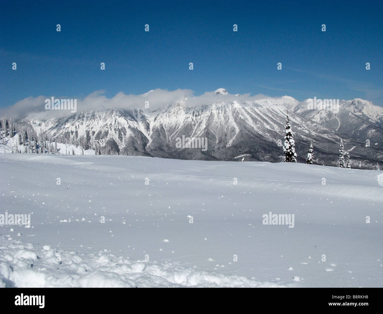 Picture of fresh snow in a north american (canada) ski resort Fernie ...