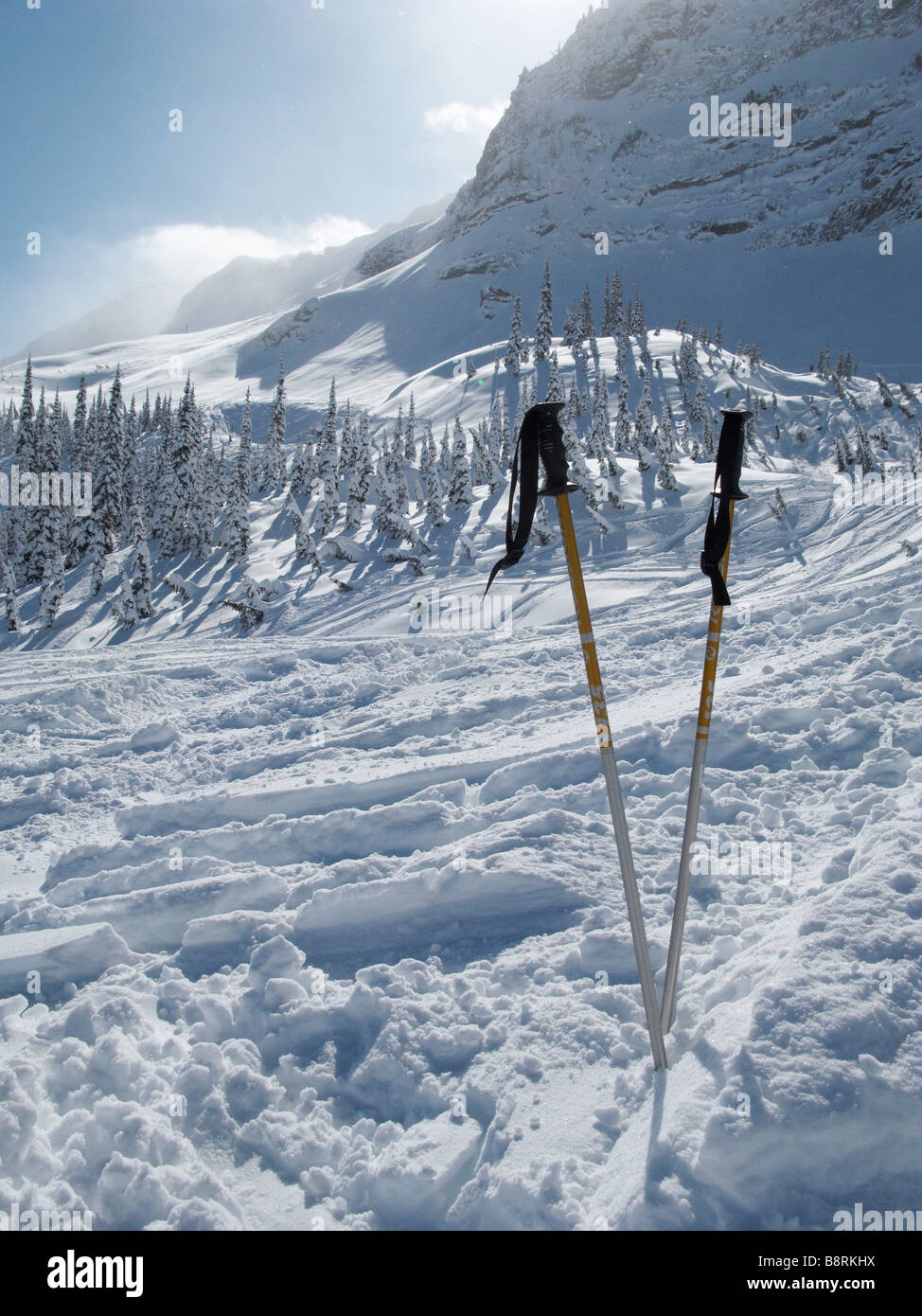 Poles snow skiing hi-res stock photography and images - Alamy