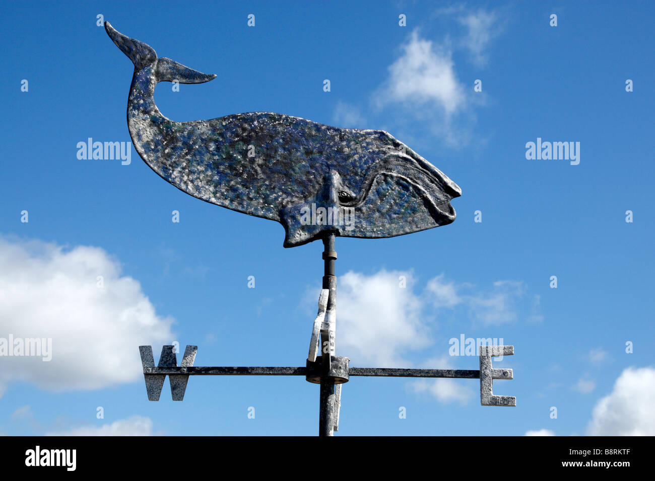 a weather vane with a whale on the top in the popular whale watching ...