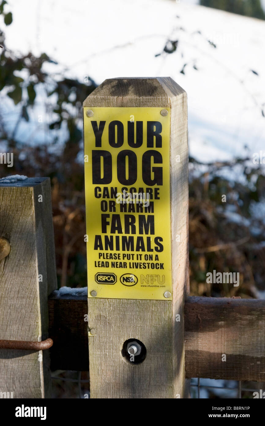 Dog warning sign regarding farm animals Pentyrch South Glamorgan ...