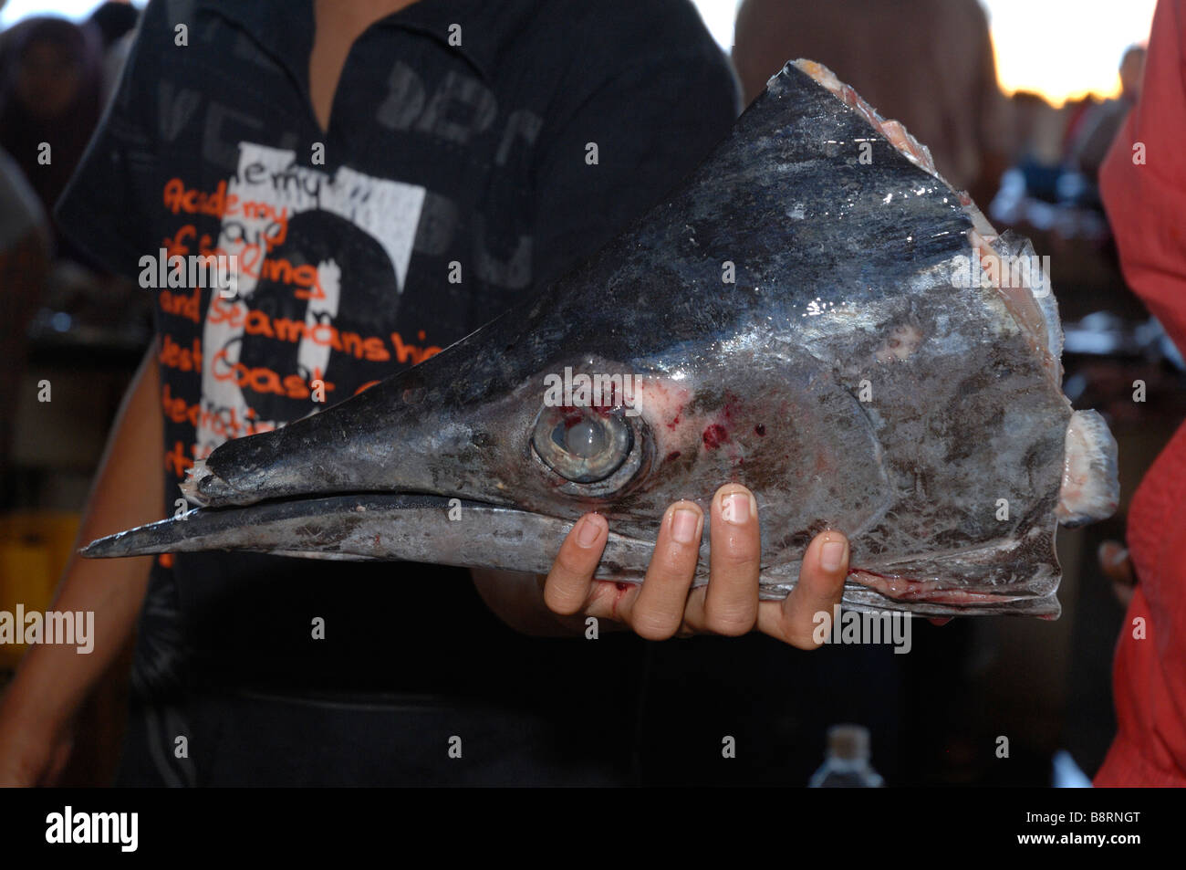 Man holding head of sailfish Fish for sale interior of SAFMA fish ...