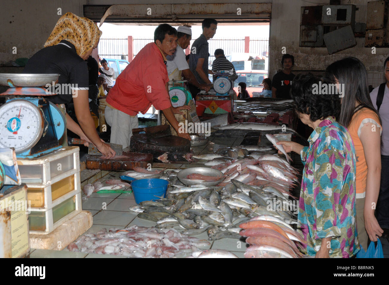 Fish for sale interior of SAFMA fish market Kota Kinabalu Sabah ...