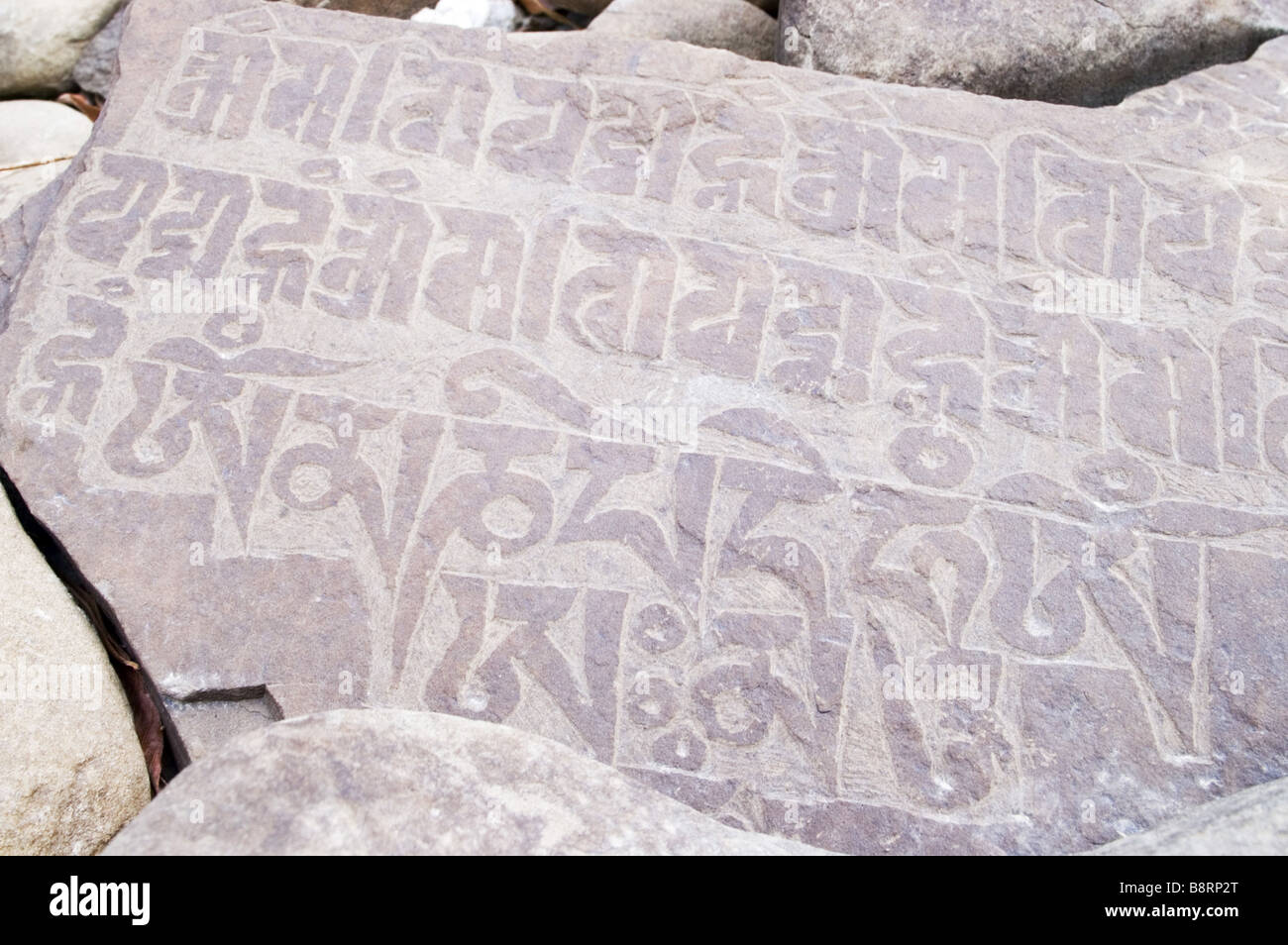 buddhist mani stone in Ladakh, India, Jammu und Kaschmir Stock Photo ...