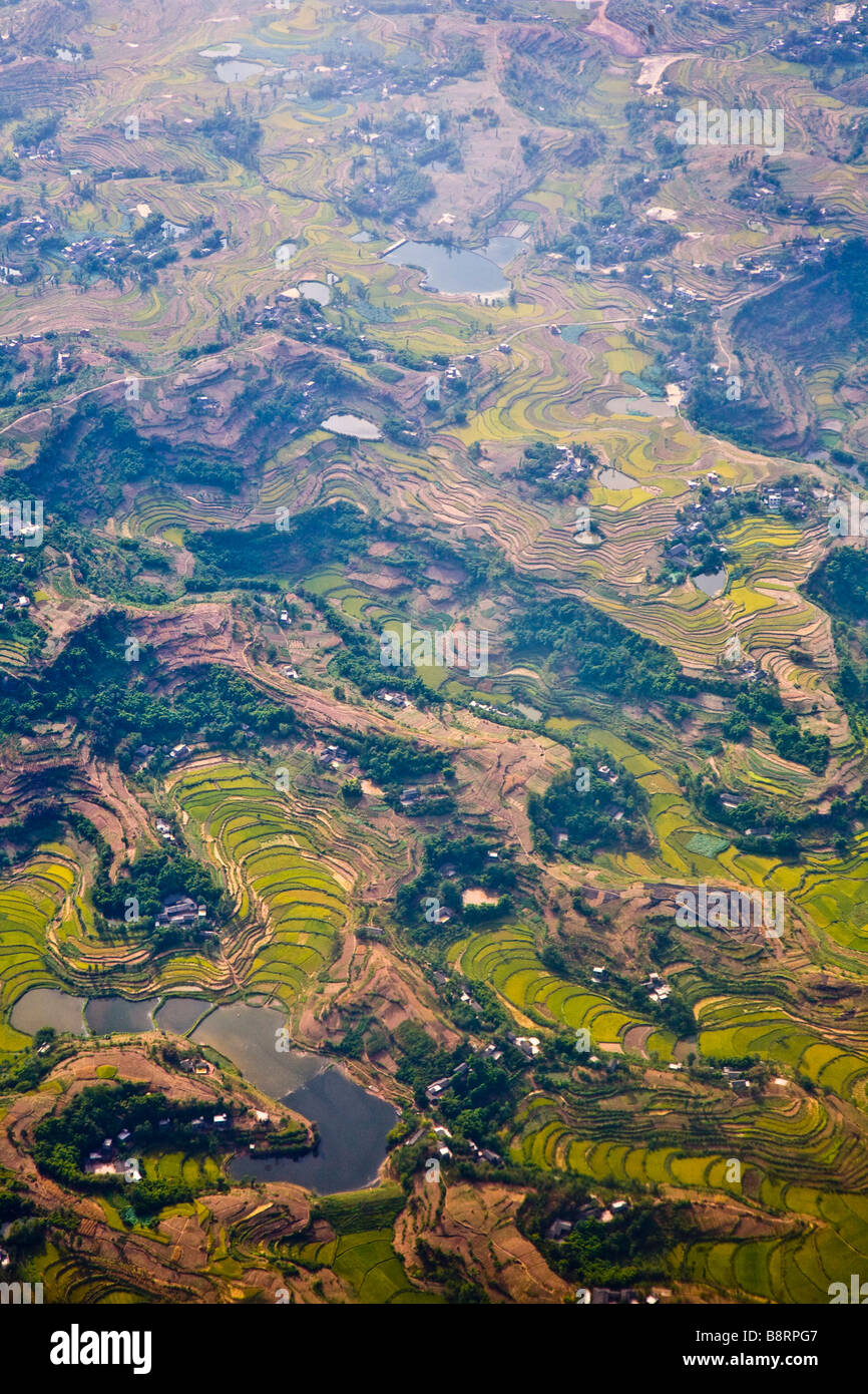 Chongqing forest hi-res stock photography and images - Alamy