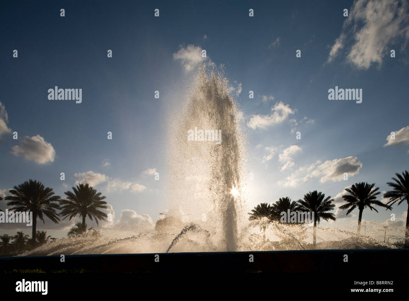 Bahamas Grand Bahama Island Freeport Setting sun silhouettes fountains ...