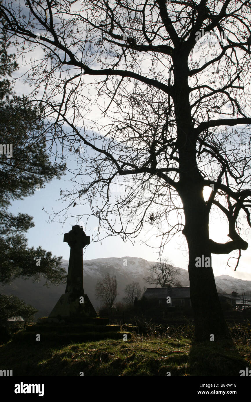 Grave stone and tree in morning light Stock Photo - Alamy