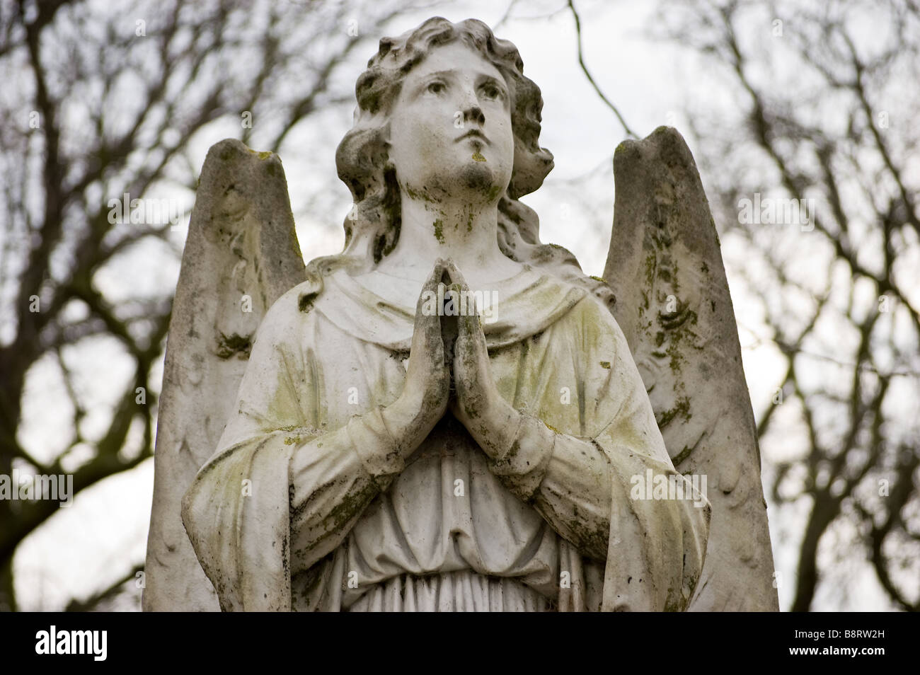 Statue of angel praying in graveyard Stock Photo - Alamy