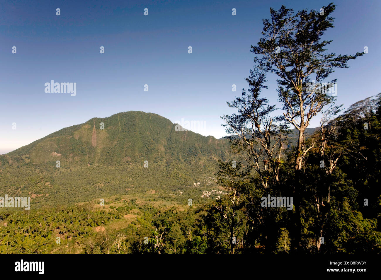 Anjouan Comoros Stock Photos & Anjouan Comoros Stock Images - Alamy