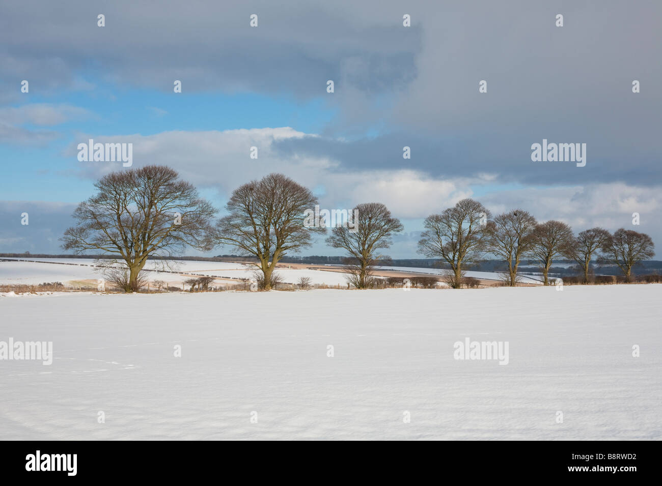 Wetwang east yorkshire hi-res stock photography and images - Alamy