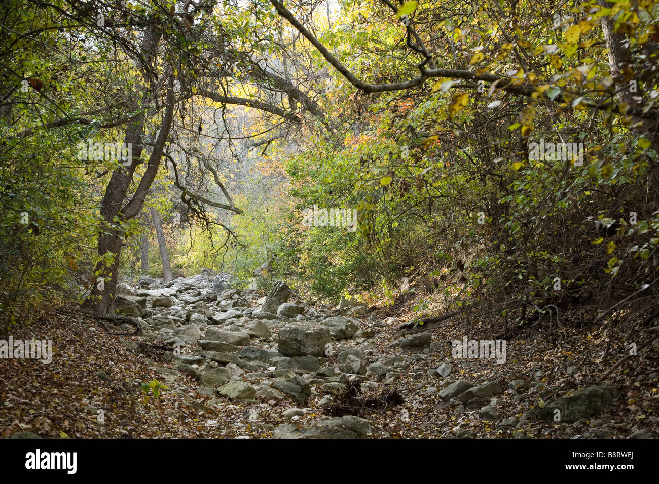 Barton creek greenbelt hi-res stock photography and images - Alamy