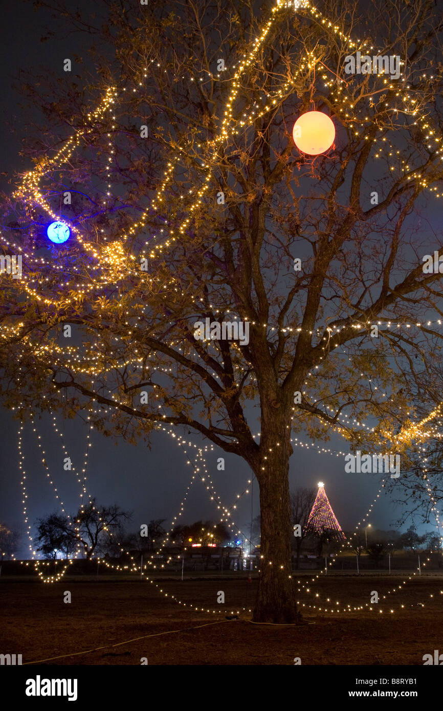 December 2008 - A large tree decorated in lights at the Trail of Lights ...
