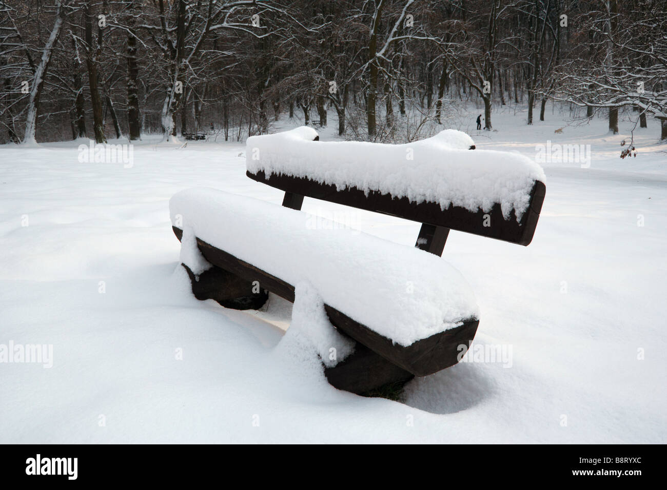 overwhelmed snow bench in the park Stock Photo - Alamy