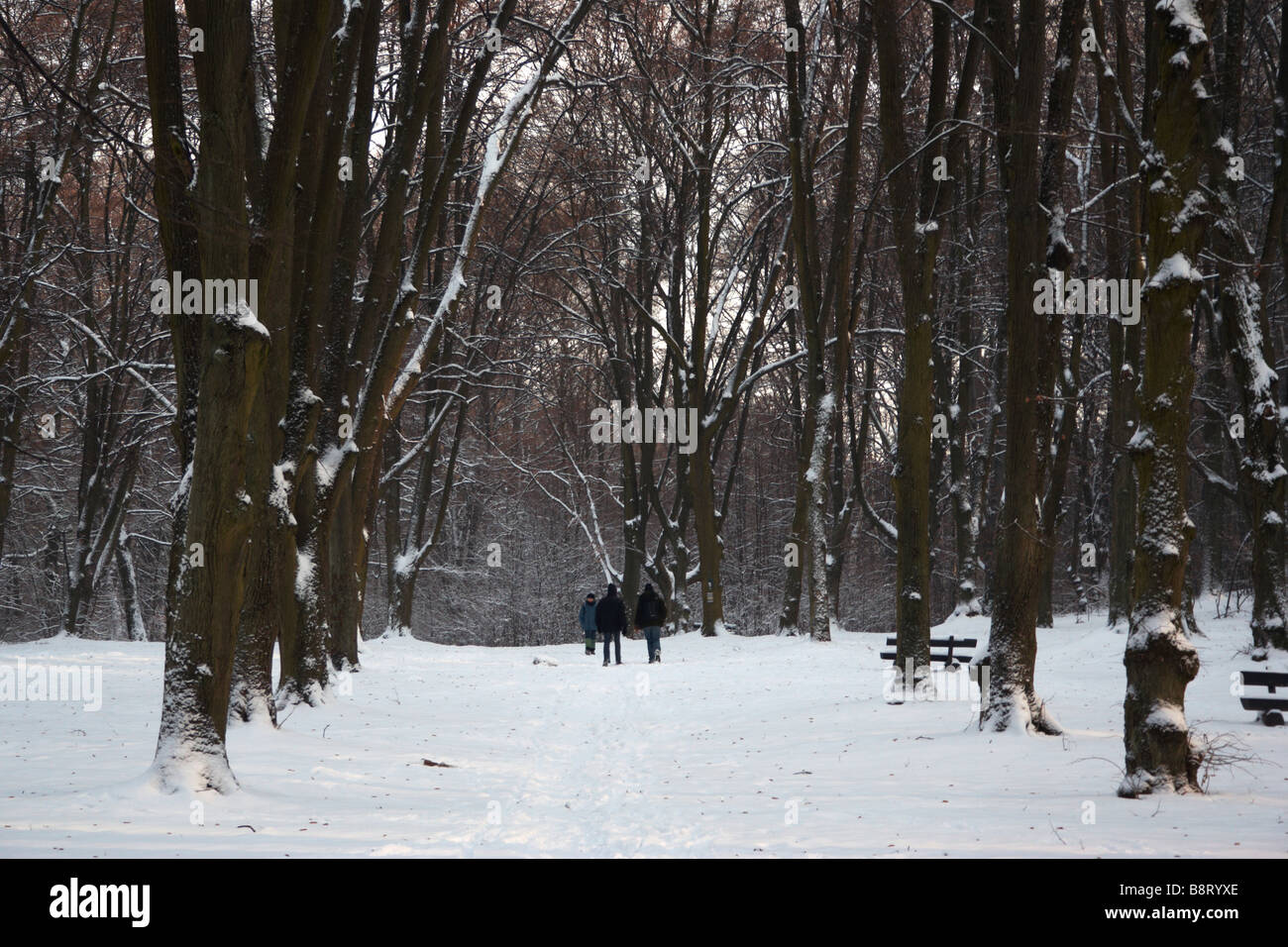 overwhelmed snow park and walking people Stock Photo - Alamy