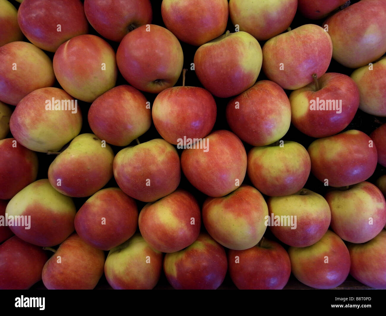 apples on display Stock Photo - Alamy