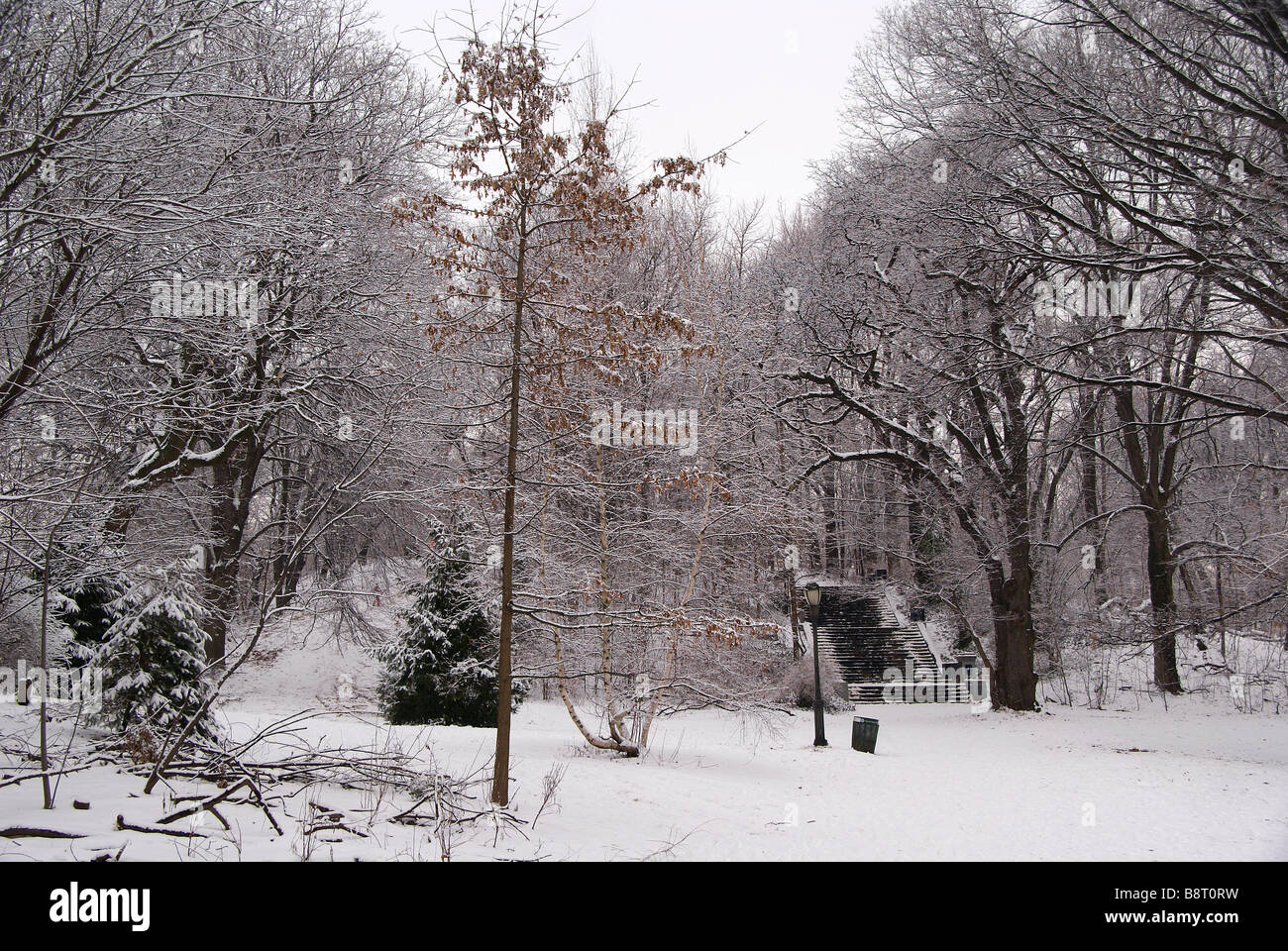 Snowy Prospect Park Brooklyn NY Stock Photo - Alamy