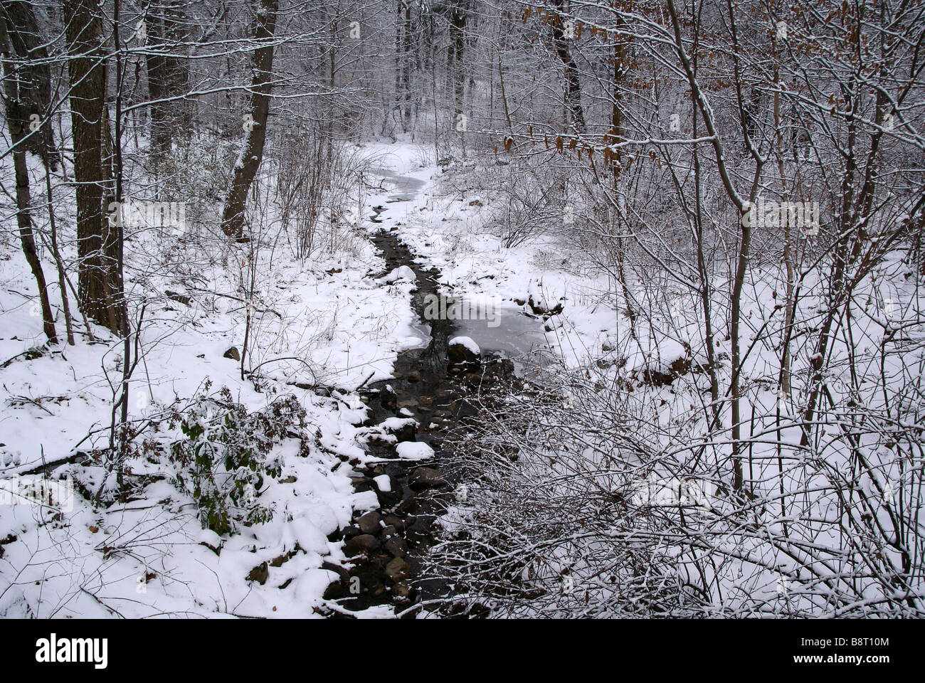 Prospect park winter hi-res stock photography and images - Alamy