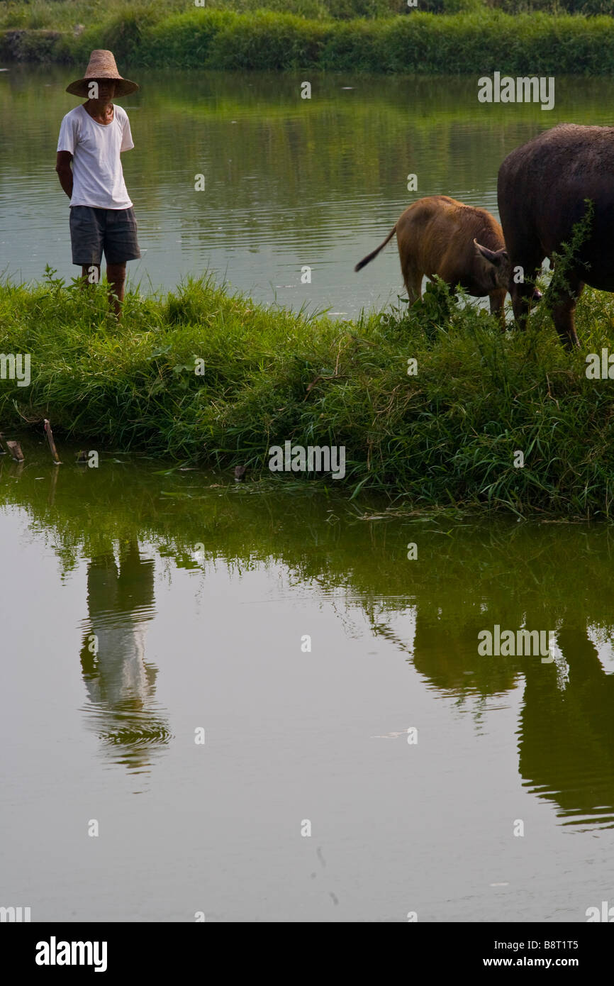 Li river rice fields hi-res stock photography and images - Alamy