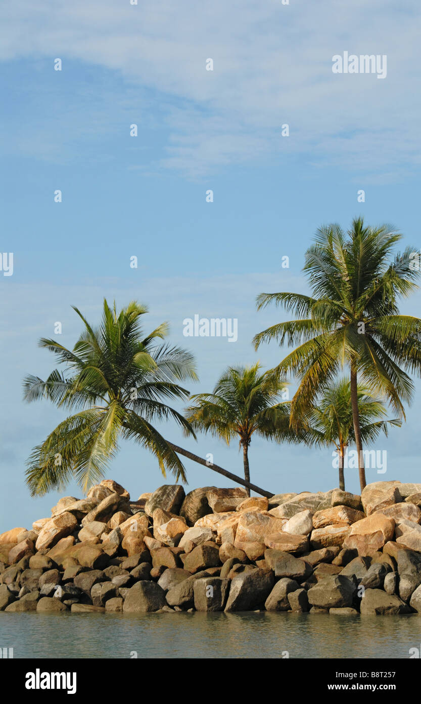 beautiful palm lagoon at Sentosa Island, Singapore Stock Photo - Alamy
