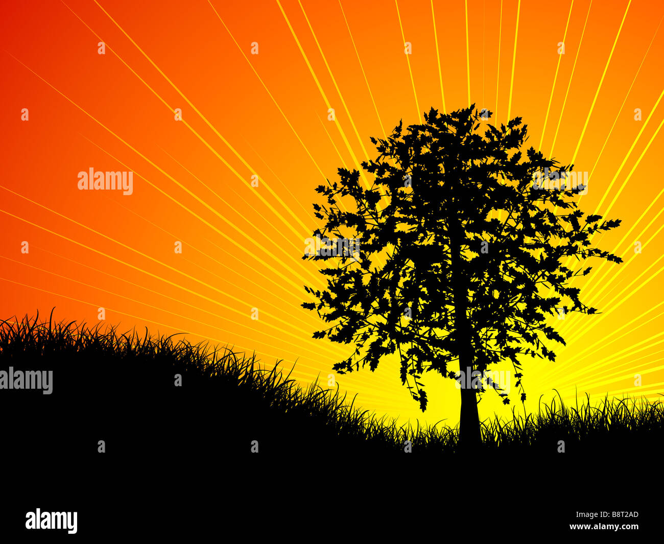 Sun setting behind a tree Stock Photo - Alamy