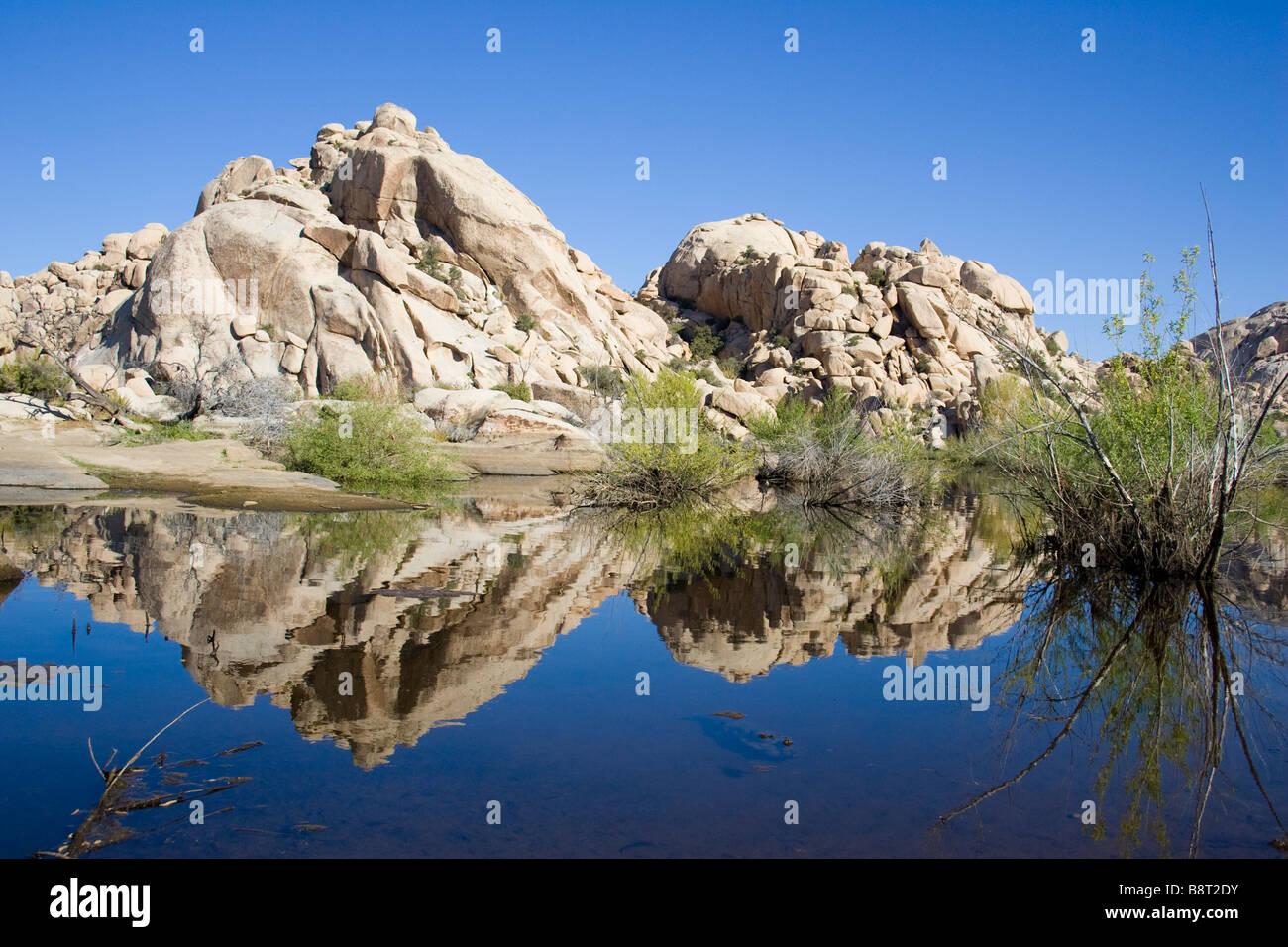 Desert oasis lake at Barker Dam in Joshua Tree State Park, California ...