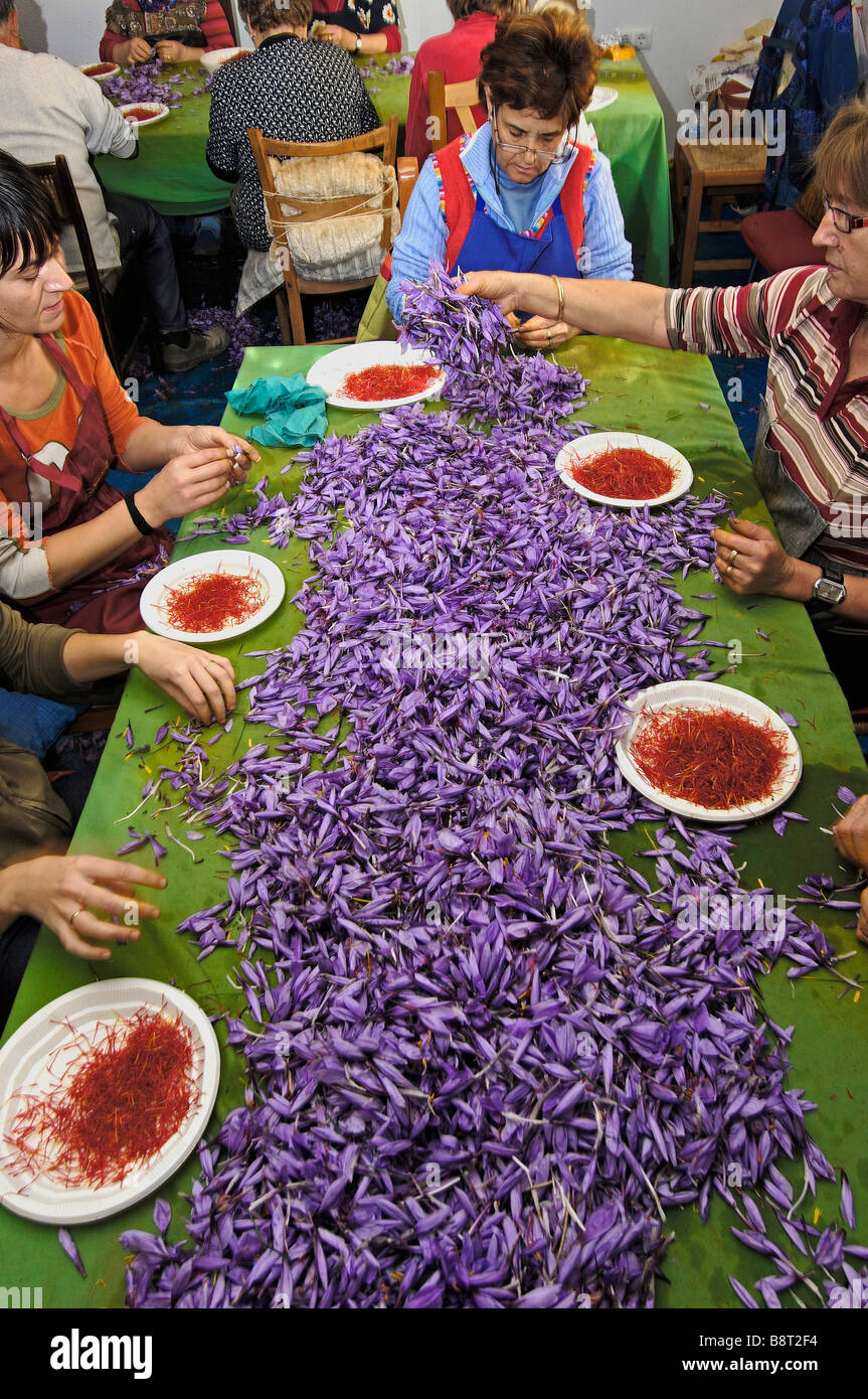 Motilla del palancar hi-res stock photography and images - Alamy