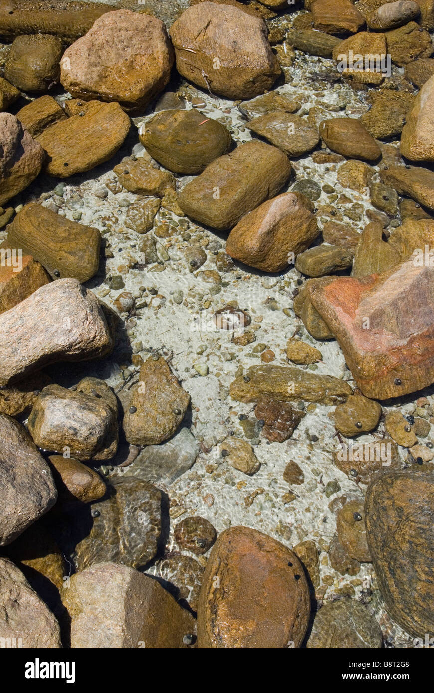 Shallow rockpool, Australia Stock Photo - Alamy