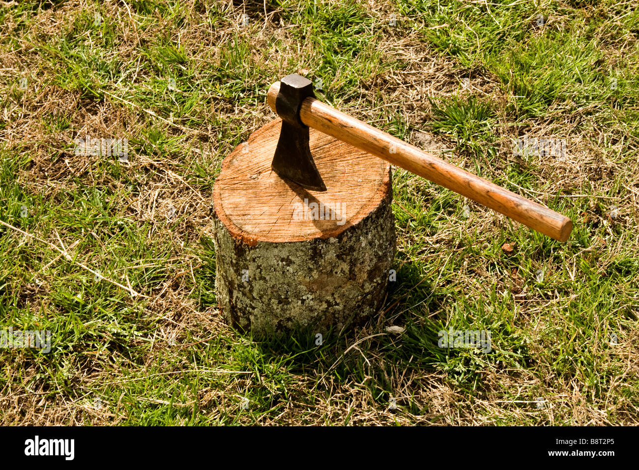 Old fashion ax in a tree stump Stock Photo - Alamy