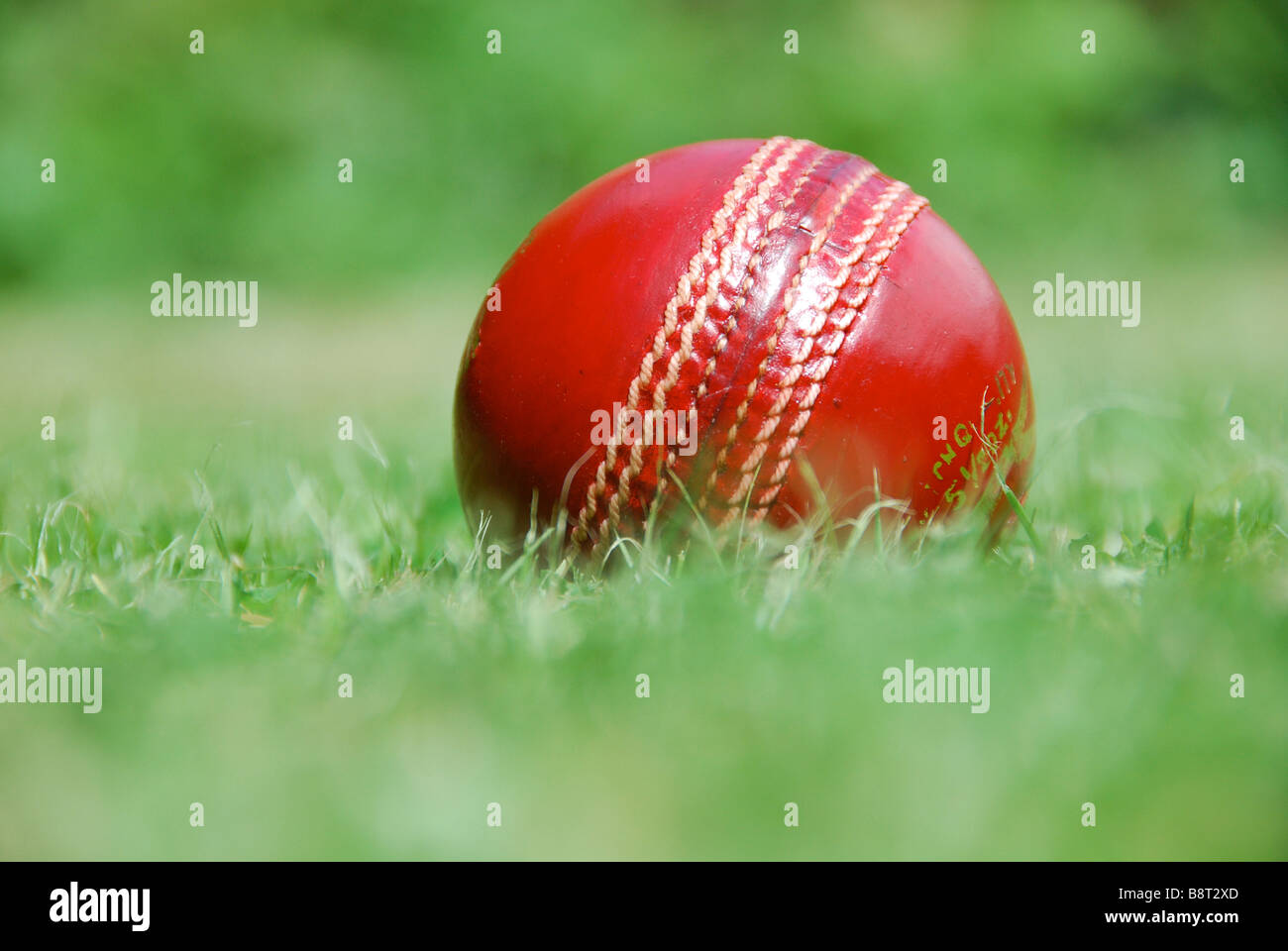low-angle shot with shallow depth of field showing a cricket ball at ...
