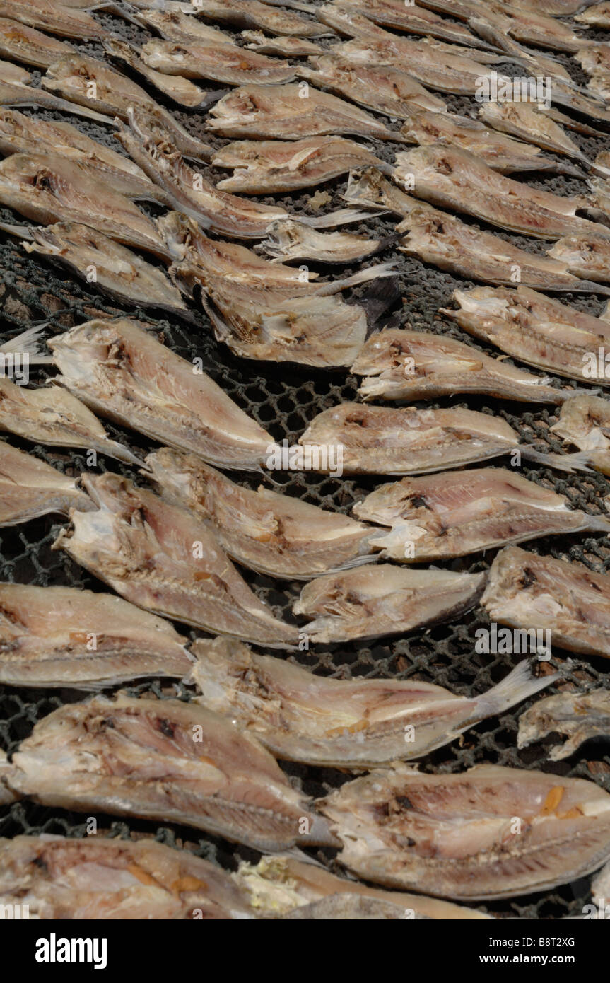 Fish drying in sun Pulau Maiga Semporna Sulu Sea Malaysia Sout east ...