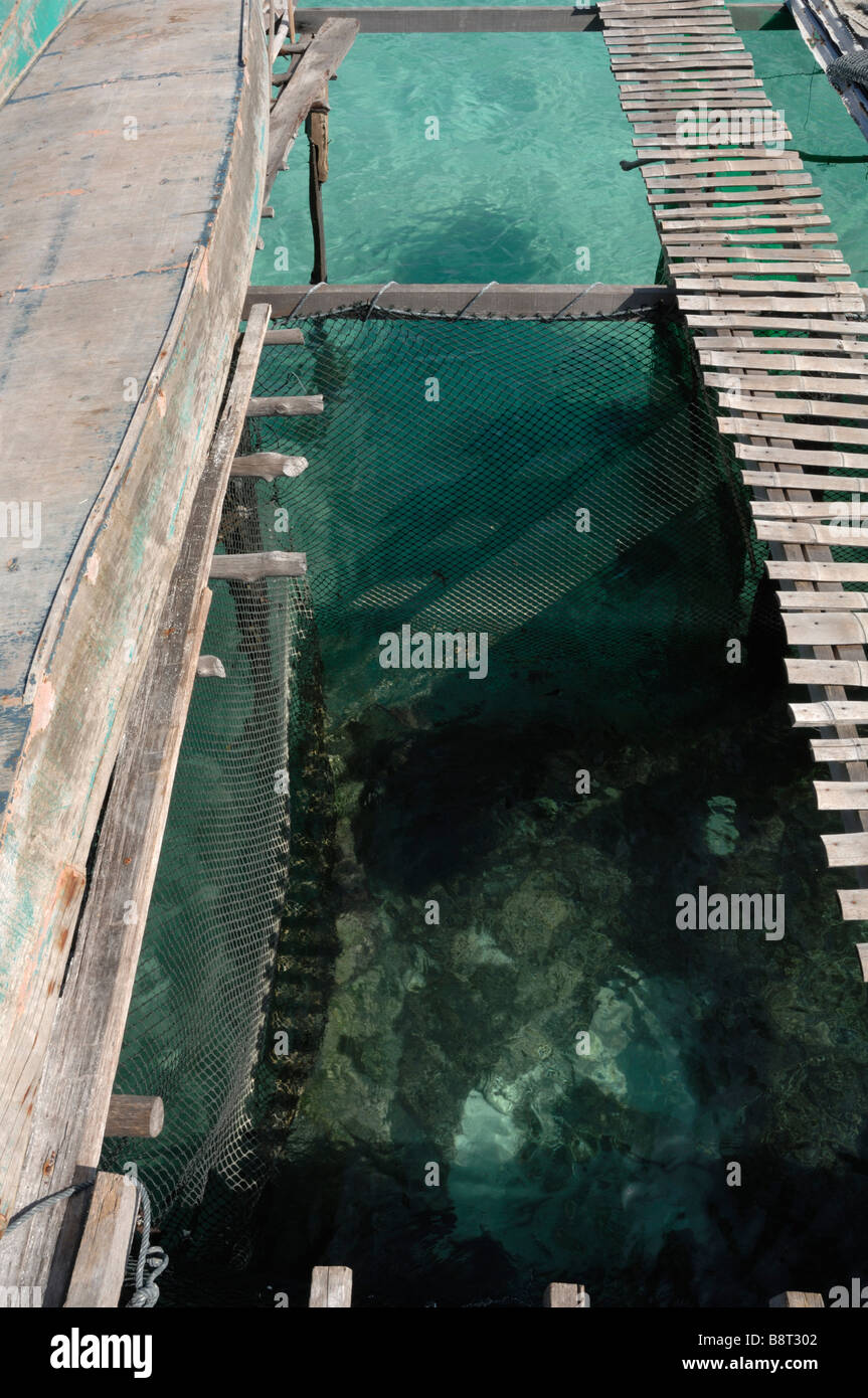 Suluk fish pen alongside house on stilts on reef flat Semporna Sulu Sea ...