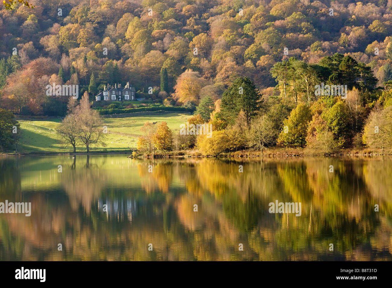 Grasmere lake with autumn colours and reflections Lake District Cumbria ...