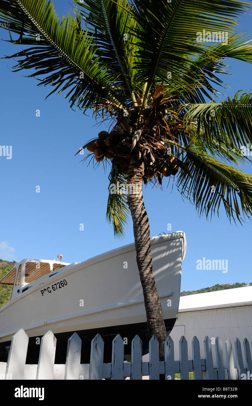Boat in boatyard with palm tree in the harbour Stock Photo - Alamy