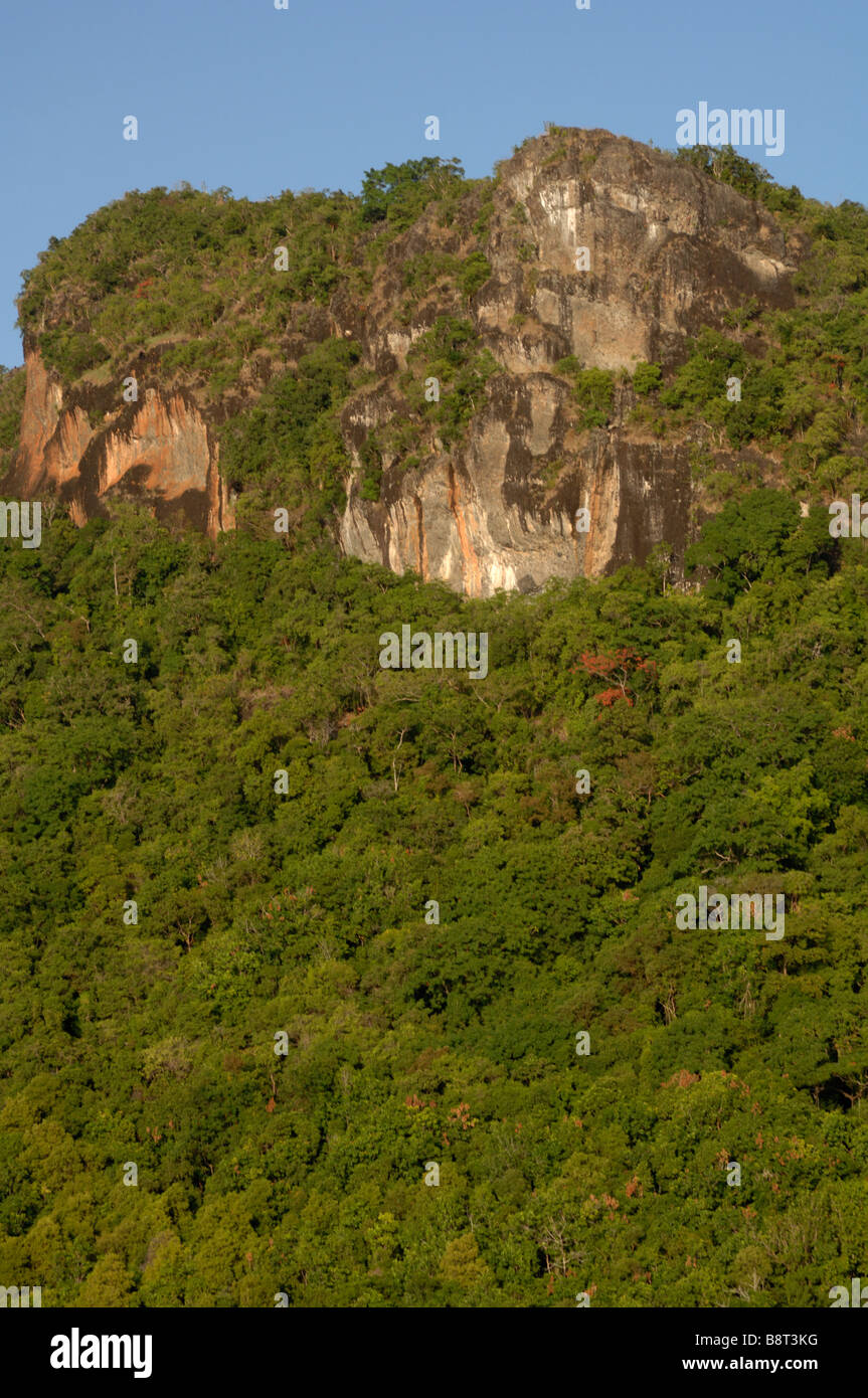 Summit and forest Pulau Boheydulang Semporna Sulu Sea Malaysia Sout ...