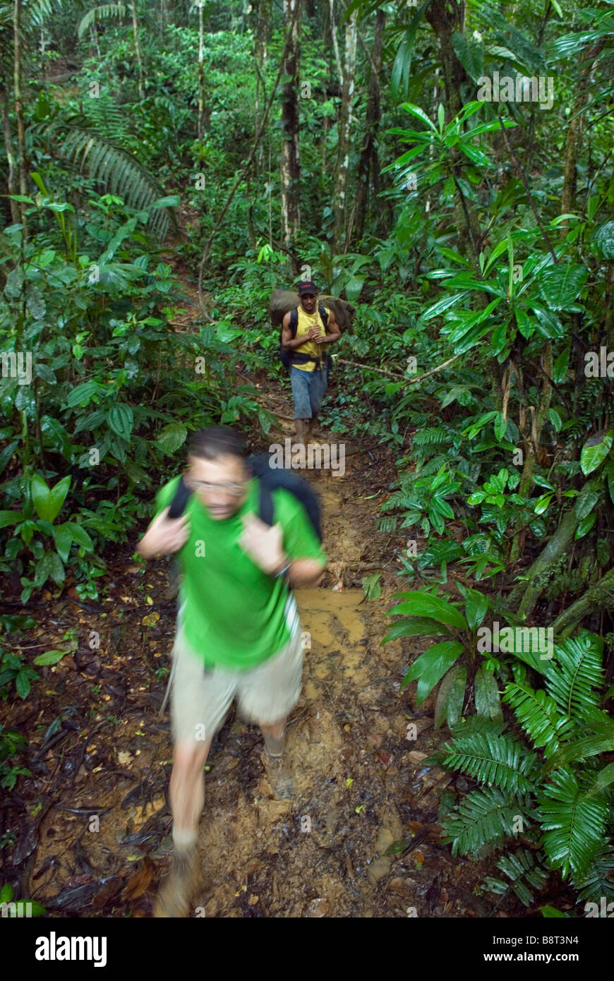 Explorers jungle hi-res stock photography and images - Alamy