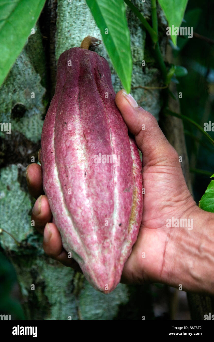 Panama tribe hi-res stock photography and images - Alamy