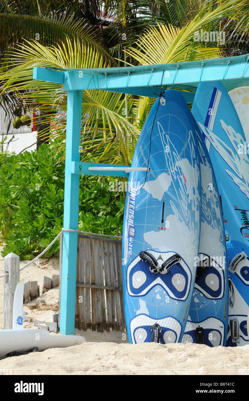 Surf Boards lined up on beach Stock Photo - Alamy