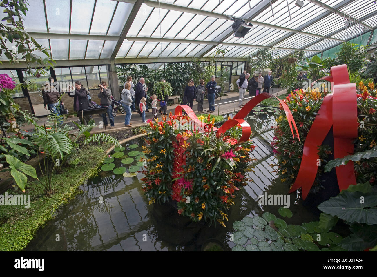 Orchid Festival Princess Of
