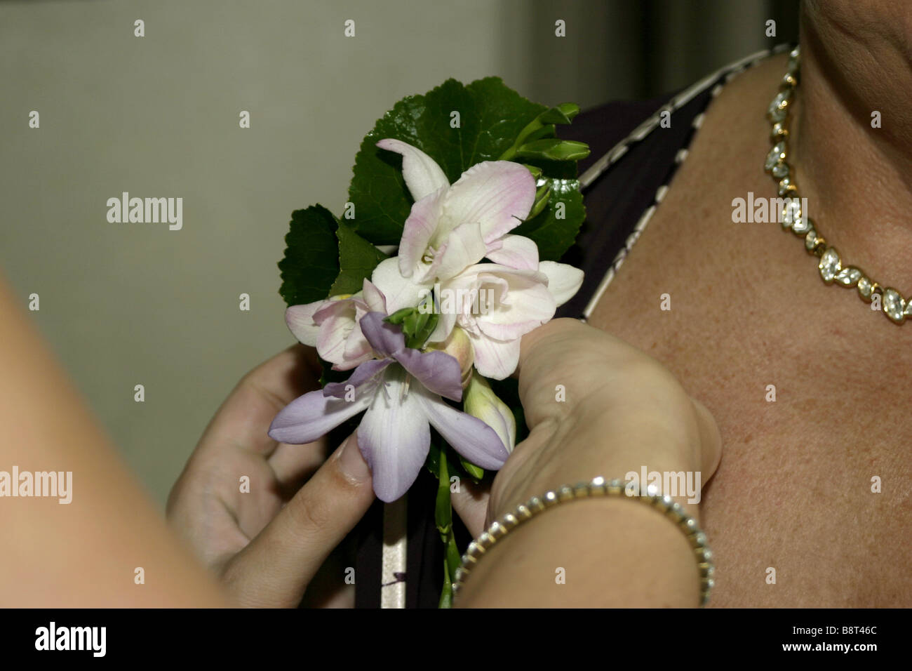 Helping pin a flower hi-res stock photography and images - Alamy
