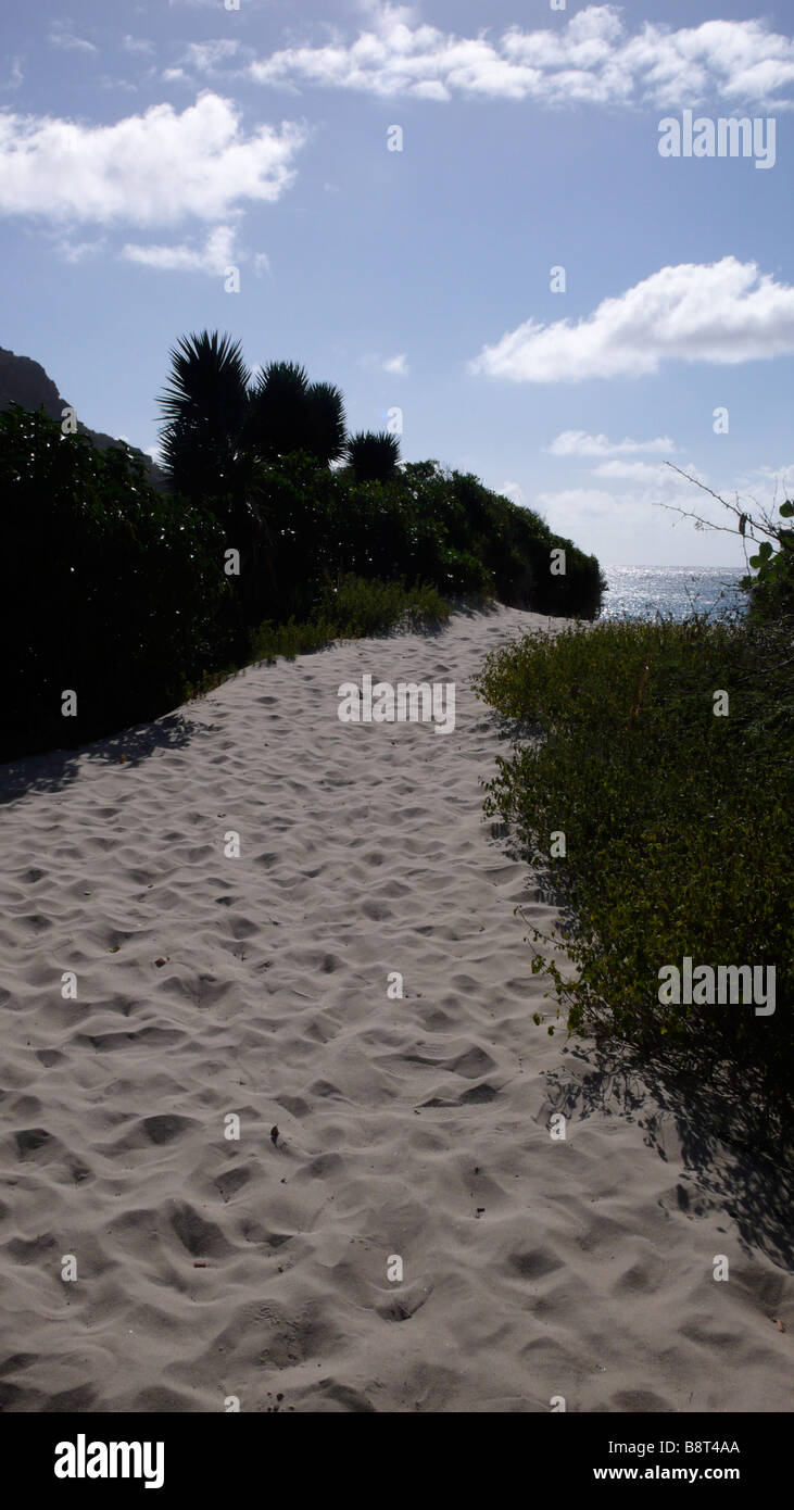 Footpath to the beach hi-res stock photography and images - Alamy