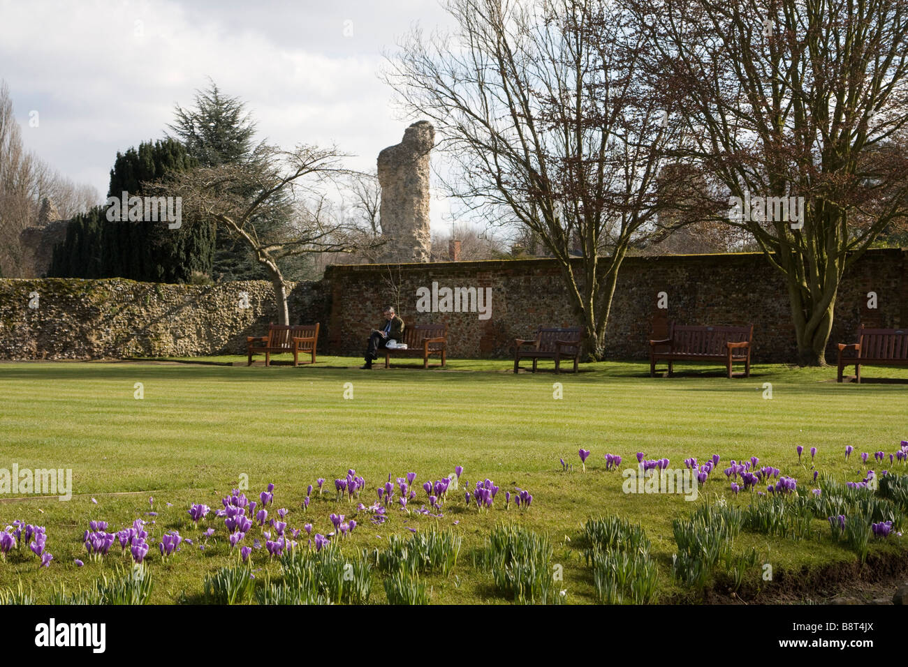 abbey gardens bury st edmunds suffolk town england uk gb Stock Photo ...