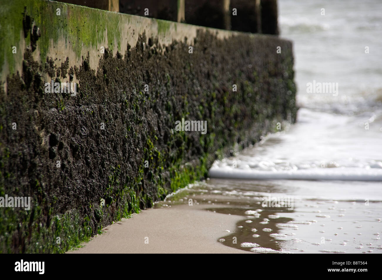 Groyne sea defense hi-res stock photography and images - Alamy