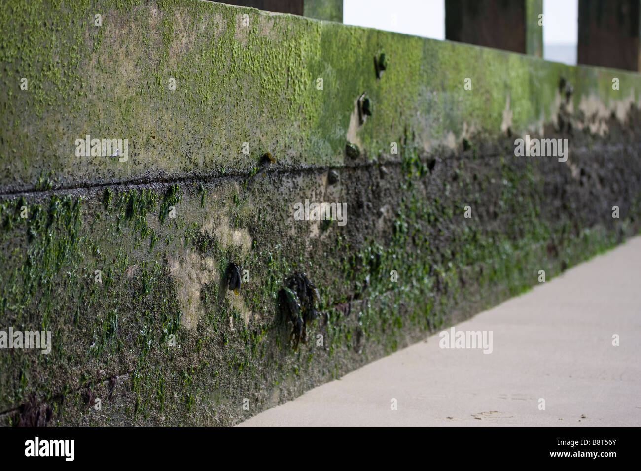 Groyne sea defense hi-res stock photography and images - Alamy