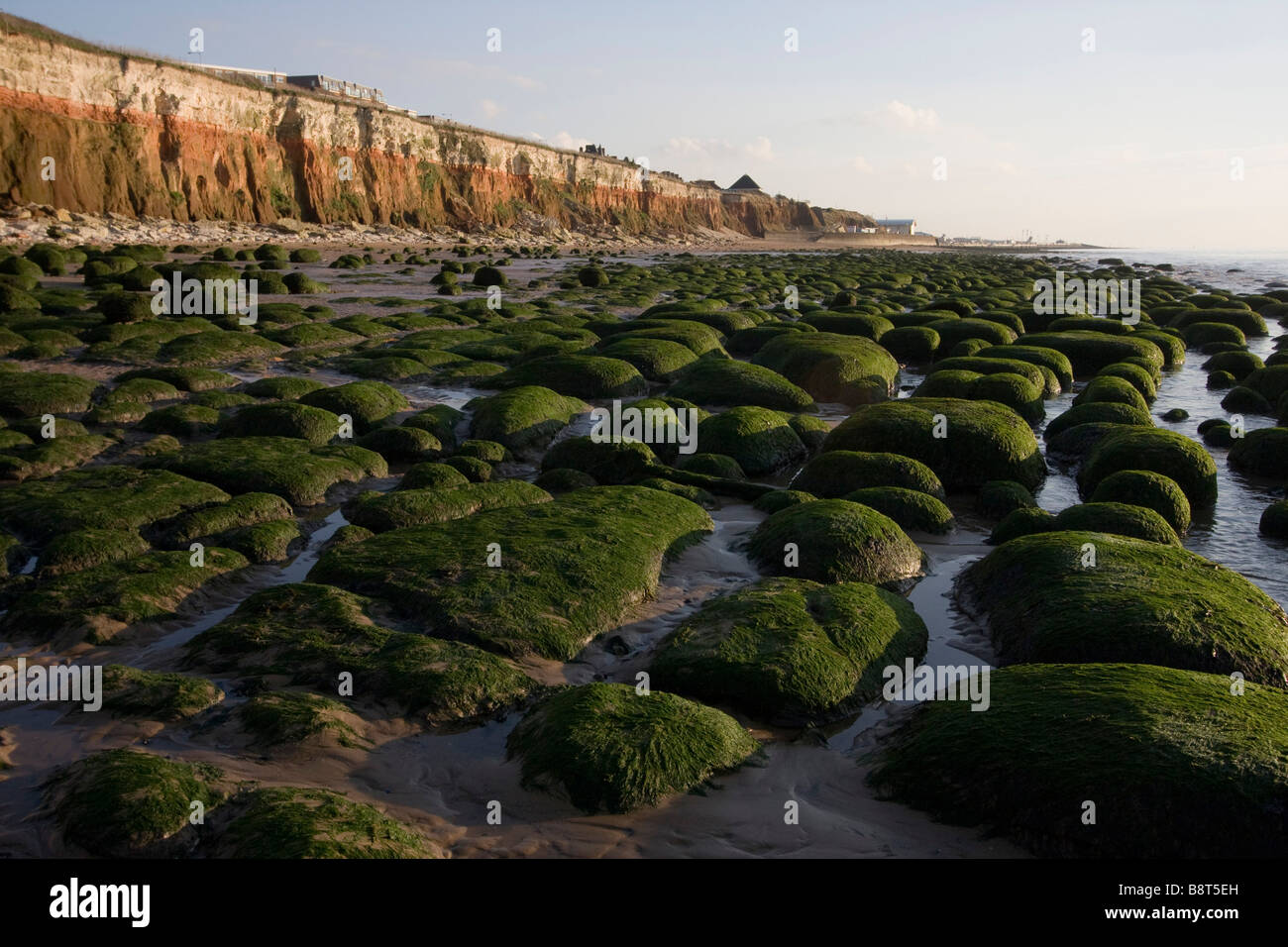 hunstanton norfolk cliff strata from beach east anglia england uk gb ...