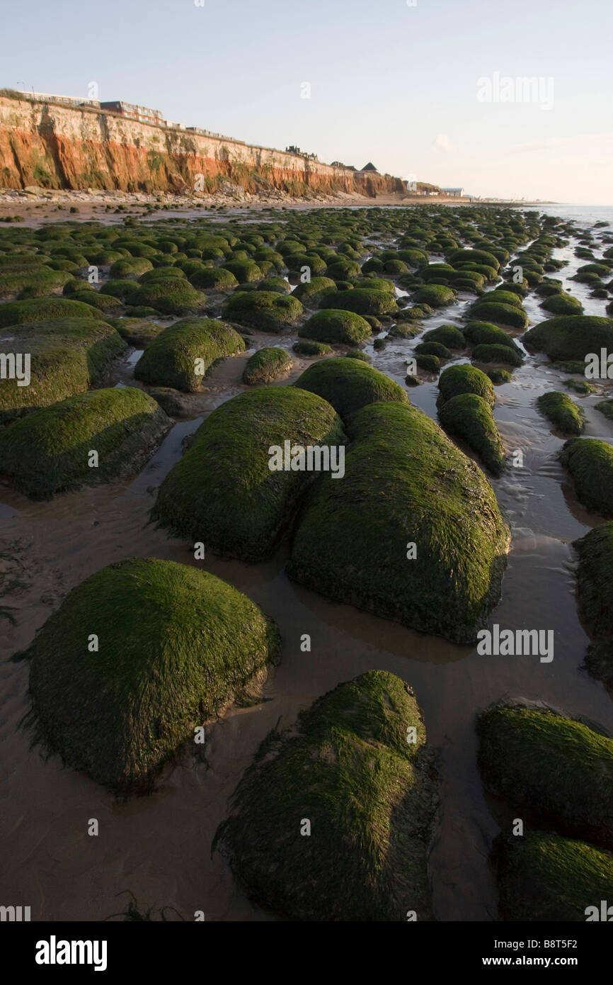 hunstanton norfolk cliff strata from beach east anglia england uk gb ...