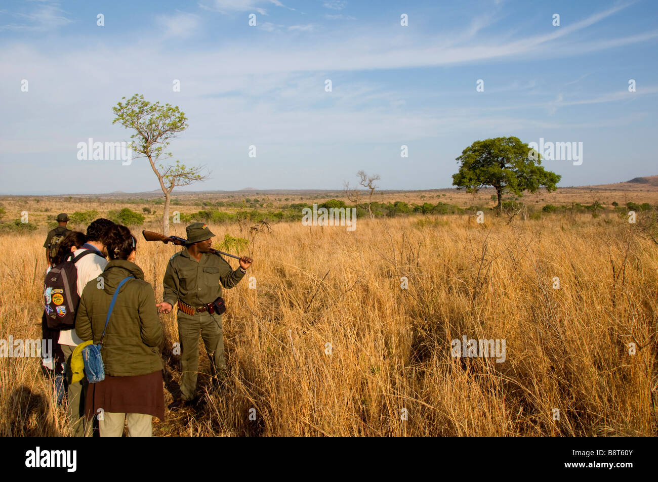 Dawn Bush Walk in Kruger National Park South Africa Stock Photo - Alamy