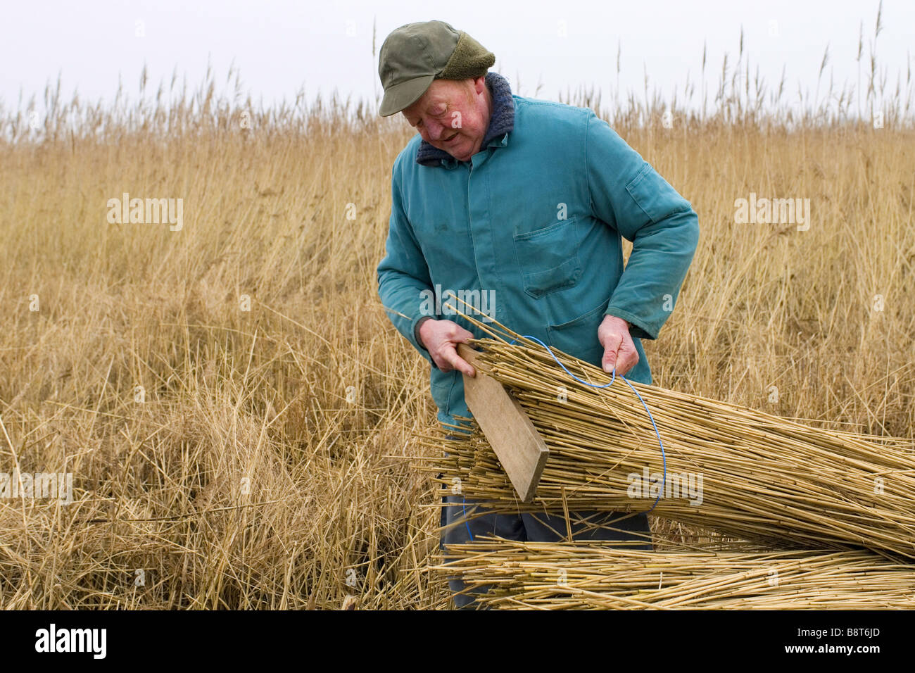 Scythe cutting hi-res stock photography and images - Alamy