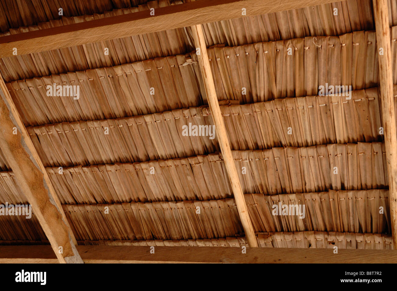 Woven rattan roof interior Pulau Maiga Semporna Sabah Malaysia Borneo ...