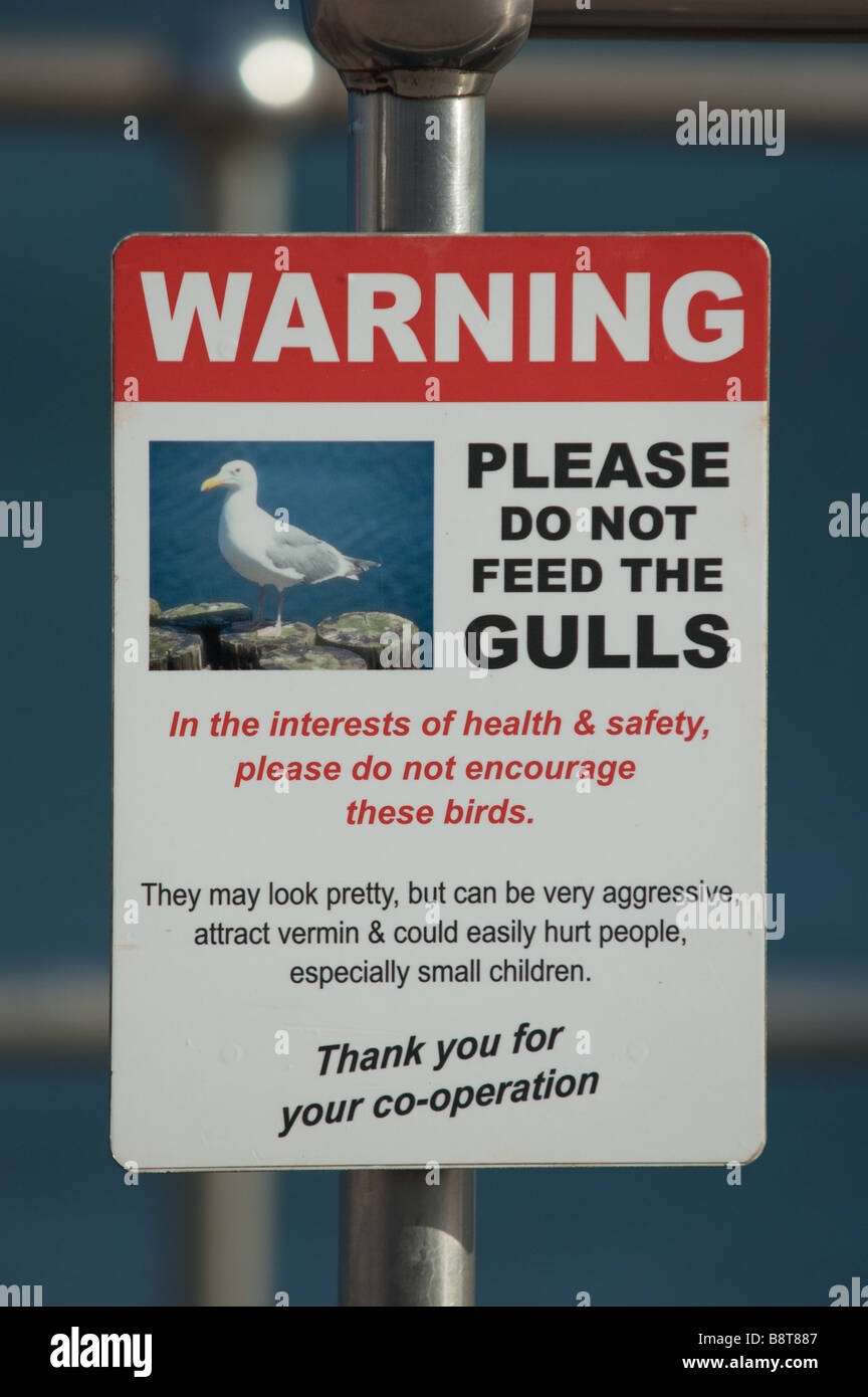 Gull attacks - Warning notice from seaside resort about gulls Stock ...